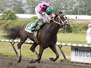 Title Contender - Horse Profile - BloodHorse