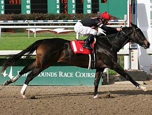 Leigh McLovin - Horse Profile - BloodHorse