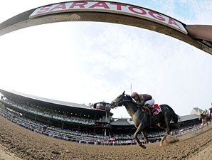 Jackson Bend - Horse Profile - BloodHorse