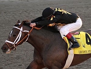 Oxbow - Horse Profile - BloodHorse