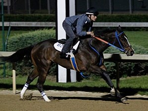 Summer Applause - Horse Profile - BloodHorse