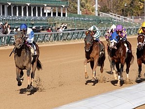 Neck 'n Neck - Horse Profile - BloodHorse