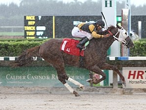 Flatter This - Horse Profile - BloodHorse