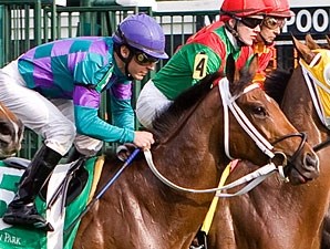 Go Ask Alex - Horse Profile - BloodHorse