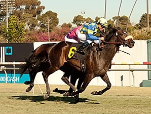 Lucayan (FR) - Horse Profile - BloodHorse