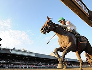 Palace - Horse Profile - BloodHorse