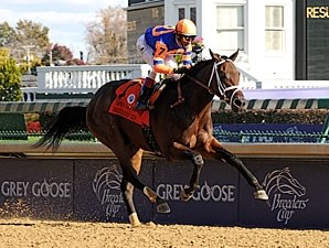 Uncle Mo - Horse Profile - BloodHorse