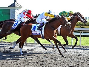 Java's War - Horse Profile - BloodHorse