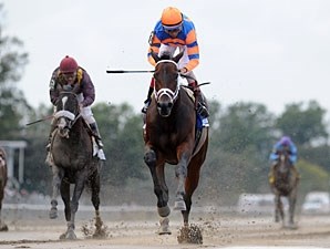 Uncle Mo - Horse Profile - BloodHorse