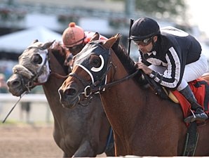 Royal Currier - Horse Profile - BloodHorse