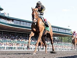 Judy the Beauty - Horse Profile - BloodHorse
