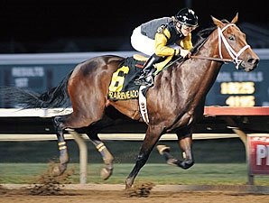 Injury Knocks Uh Oh Bango Off Derby Trail - BloodHorse