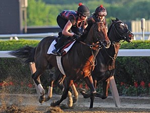 Orb - Horse Profile - BloodHorse