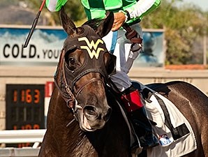 Sunset Glow - Horse Profile - BloodHorse