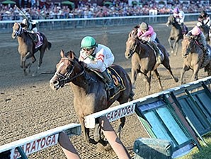 Palace - Horse Profile - BloodHorse