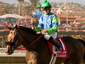 Include Me Out - Horse Profile - BloodHorse