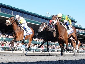 Java's War - Horse Profile - BloodHorse