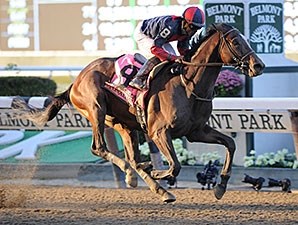 Tonalist - Horse Profile - BloodHorse