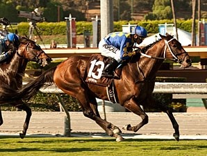 Unbridled's Note - Horse Profile - BloodHorse