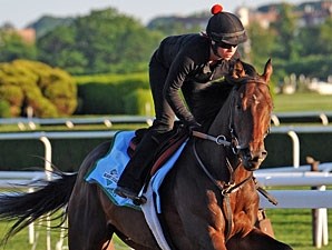 Orb - Horse Profile - BloodHorse