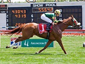 Pure Clan - Horse Profile - BloodHorse