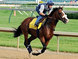 Union Rags - Horse Profile - BloodHorse