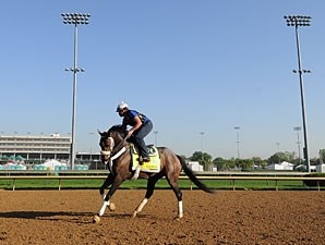 Oxbow - Horse Profile - BloodHorse
