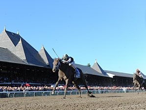 Capo Bastone - Horse Profile - BloodHorse