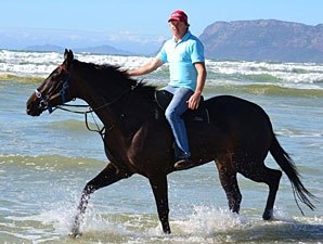 Triple South African G1 Winner Ebony Flyer Dies at 18 - BloodHorse