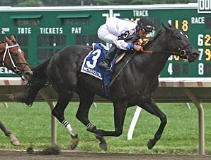 Brave Dave - Horse Profile - BloodHorse