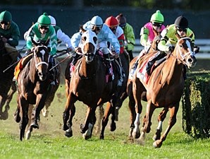 Eye of Taurus - Horse Profile - BloodHorse