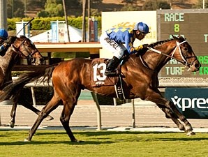 Unbridled's Note - Horse Profile - BloodHorse