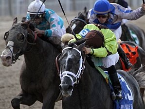 Mission Impazible - Horse Profile - BloodHorse