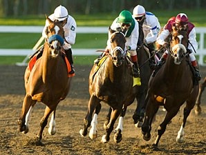 Cowboy Cal - Horse Profile - BloodHorse
