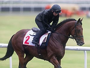 Akeed Mofeed (GB) - Horse Profile - BloodHorse