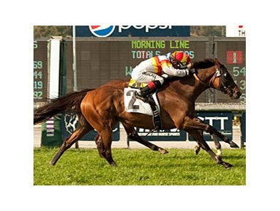 Bourbon Bay Surges in San Juan Capistrano - BloodHorse