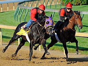 Archarcharch - Horse Profile - BloodHorse