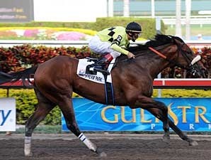 Quality Road - Horse Profile - BloodHorse