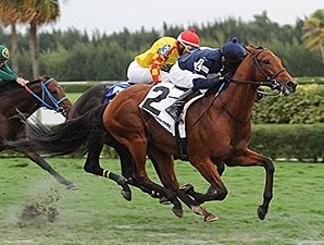 Lubash - Horse Profile - BloodHorse