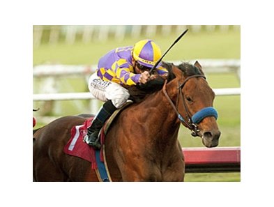 Kettle Corn Sticks to Rail, Wins Native Diver - BloodHorse