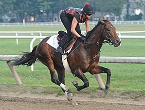 Orb - Horse Profile - BloodHorse