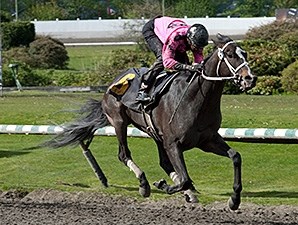 Title Contender - Horse Profile - BloodHorse