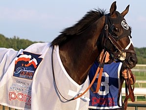 Handsome Mike - Horse Profile - BloodHorse