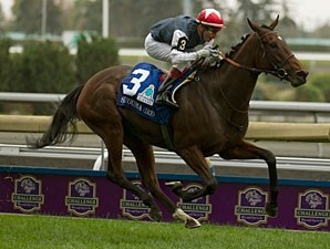 Siyouma Ire Horse Profile Bloodhorse
