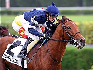 Lubash Looks Like a Million in Tropical Turf - BloodHorse