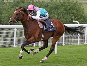 Frankel (GB) - Horse Profile - BloodHorse