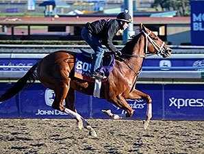 Tightend Touchdown Races for BC First Timers - BloodHorse