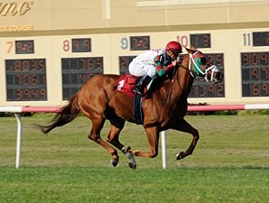 Tightend Touchdown - Horse Profile - BloodHorse