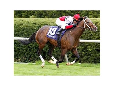 Mr. Nightlinger Out to Defend Shakertown - BloodHorse