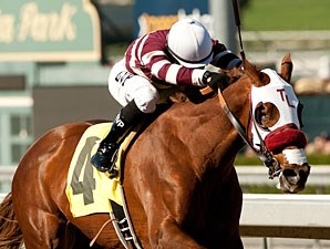 Willa B Awesome - Horse Profile - BloodHorse